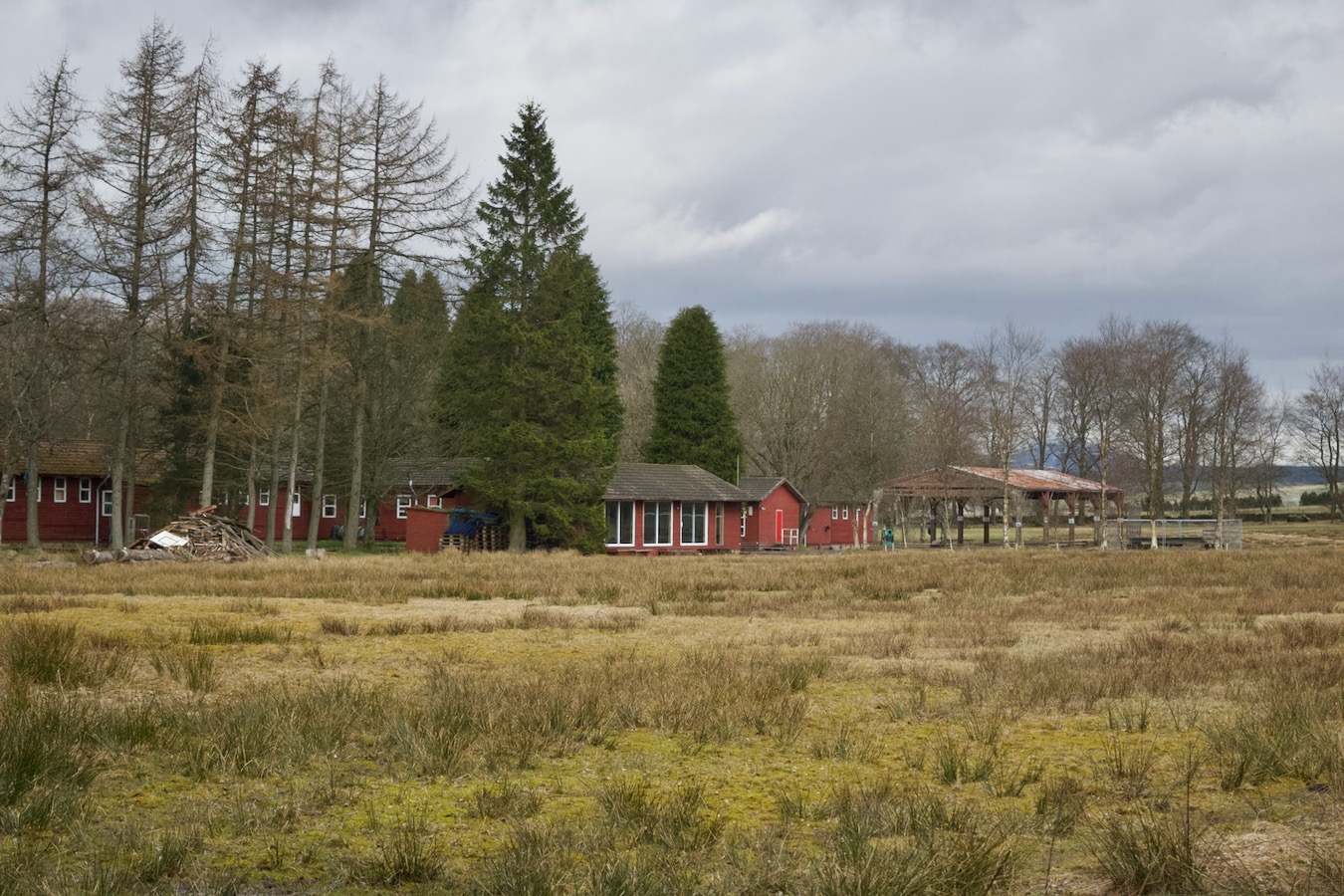 Broomlee Camp – Hutters.uk – Iain's blog about hutting